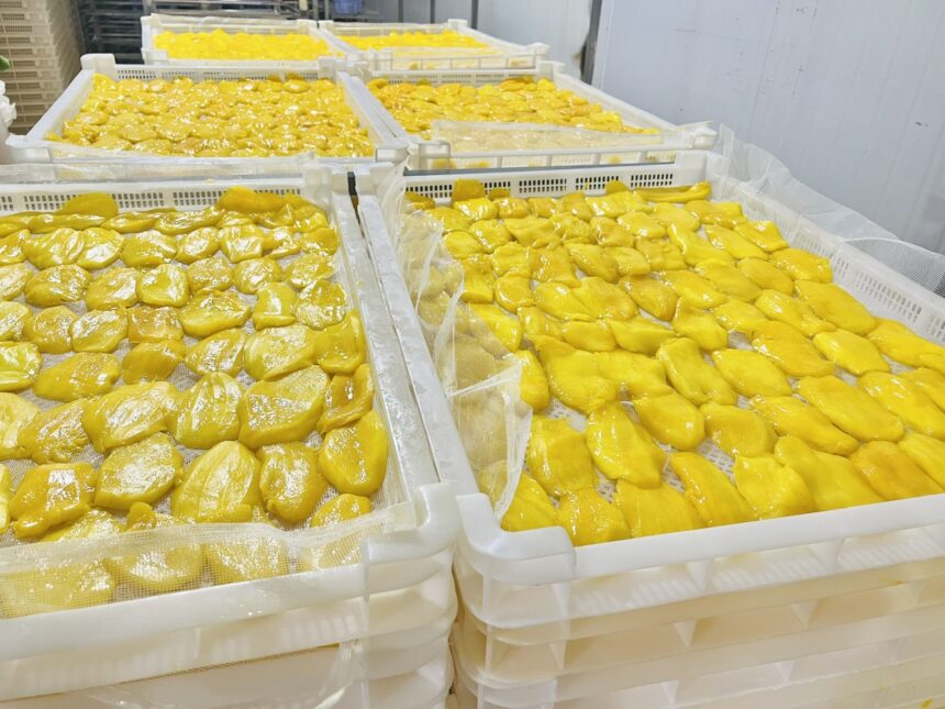 Soft Dried Mango Production Process