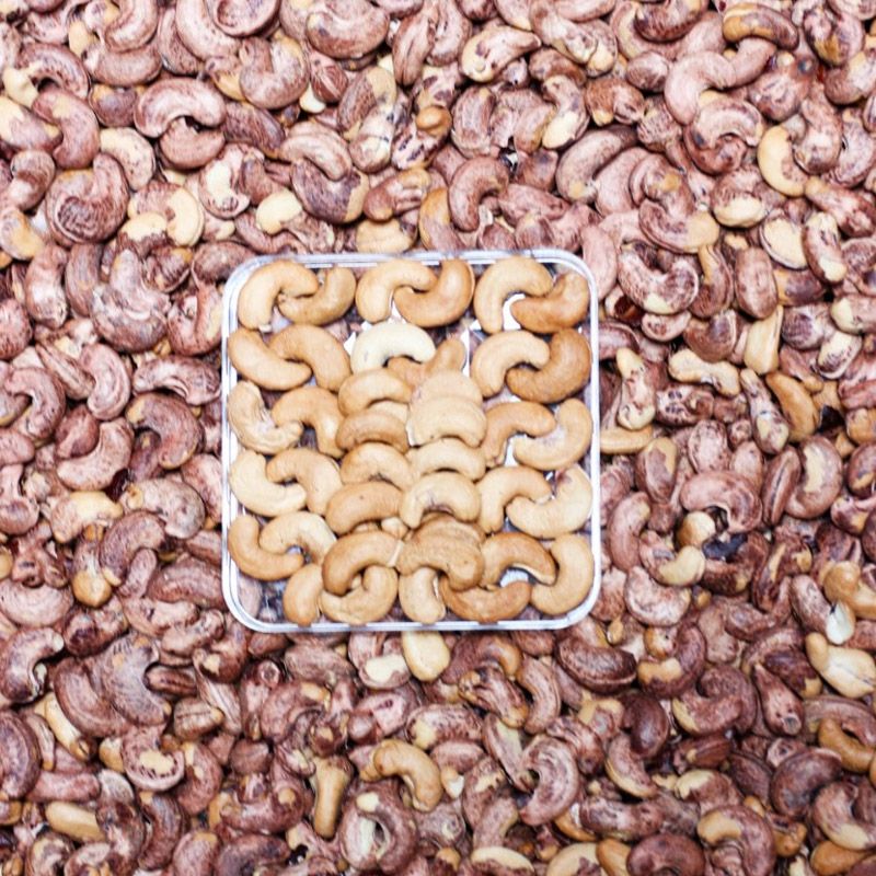 Popular Cashew Nut Varieties Exported from Vietnam