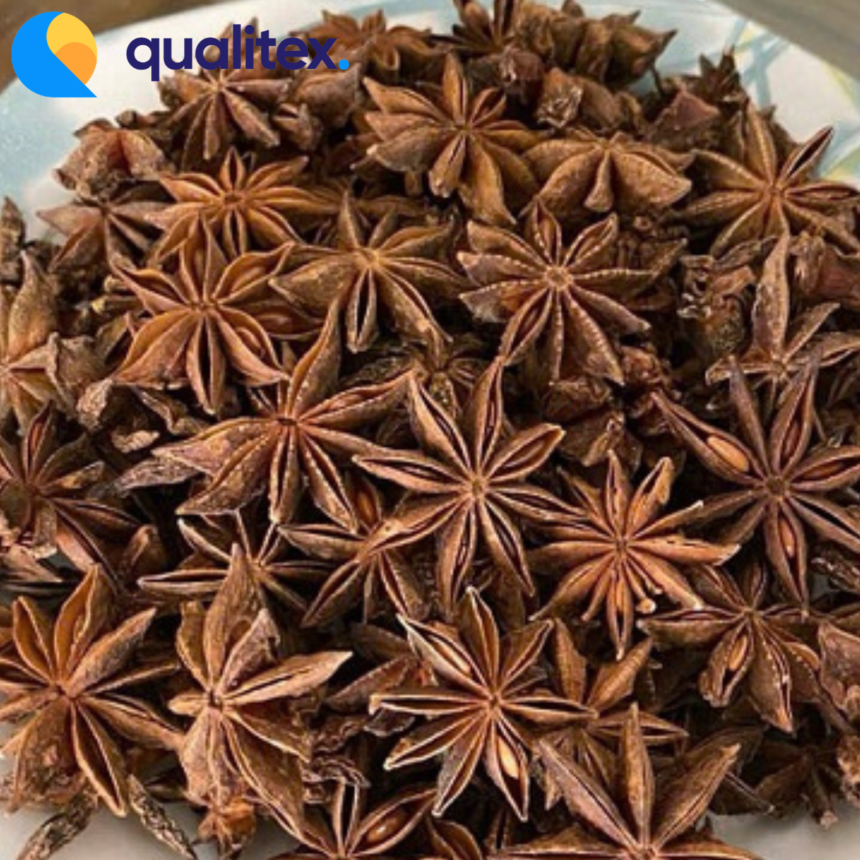 Spring Star Aniseed Factory Supplier from Vietnam