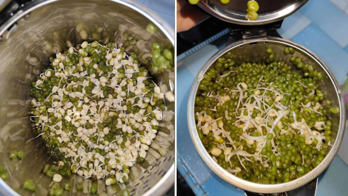How to Sprout Mung Beans at Home: 6 Simple Methods